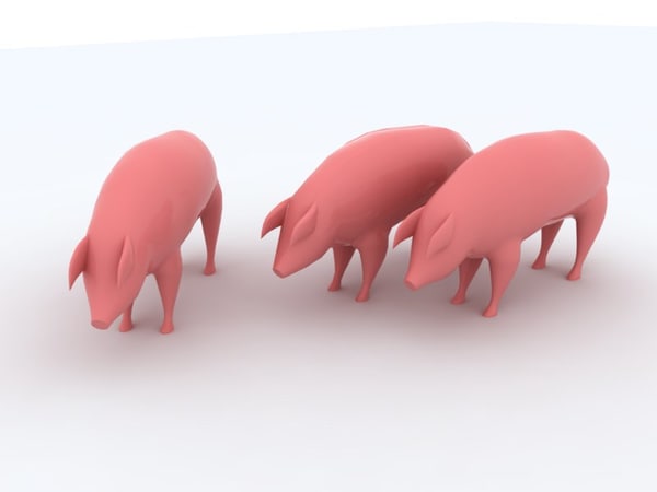 3d pigs