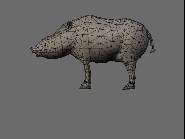 Boar 3D Models for Download | TurboSquid