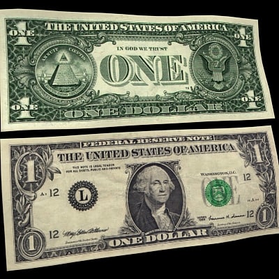modelo 3d un dólar - TurboSquid 366150