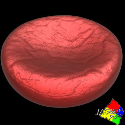 3d red blood cell model