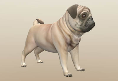 3d model pug dog