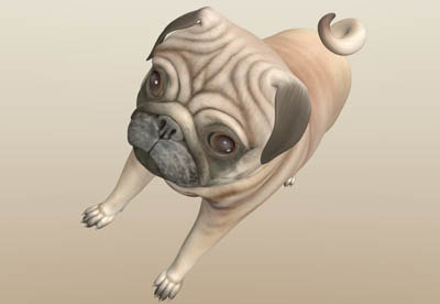 3d model pug dog