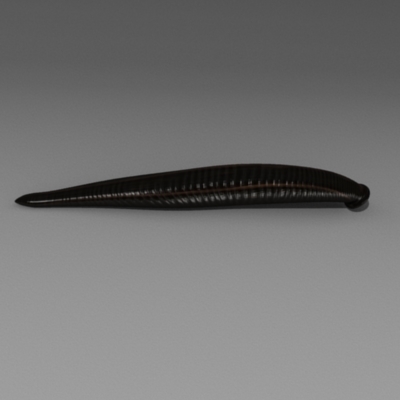 3d model giant leech