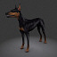 max doberman dog guard