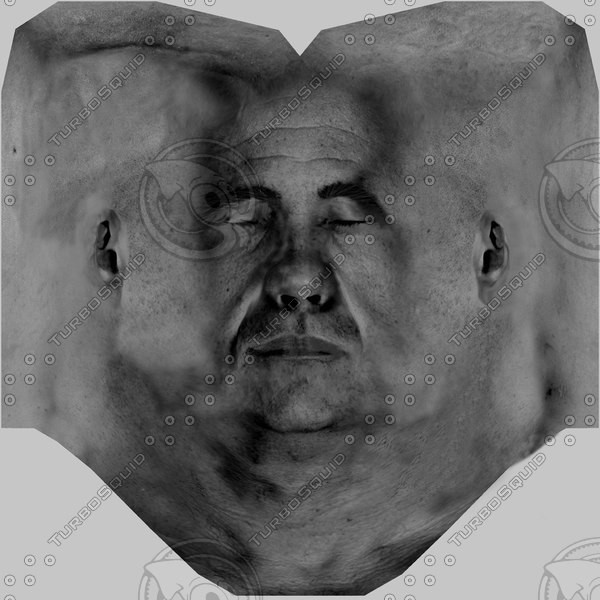 3d head mesh color normal maps model