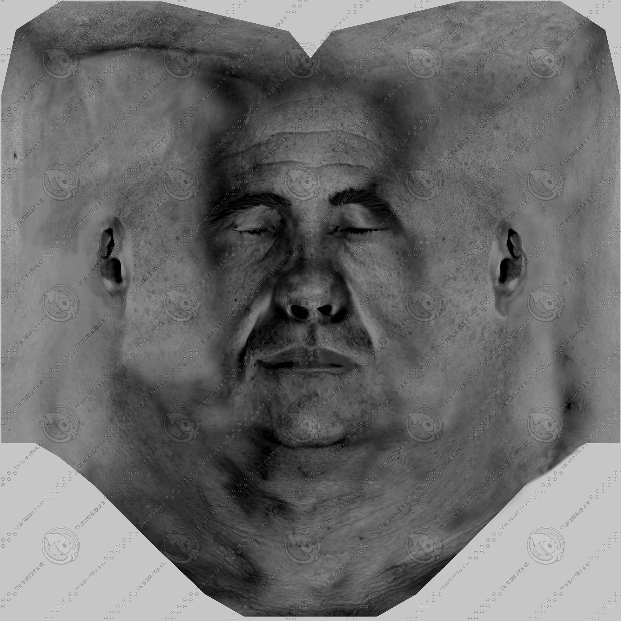 3d head mesh color normal maps model