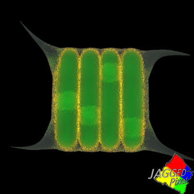 3D Algae Models | TurboSquid