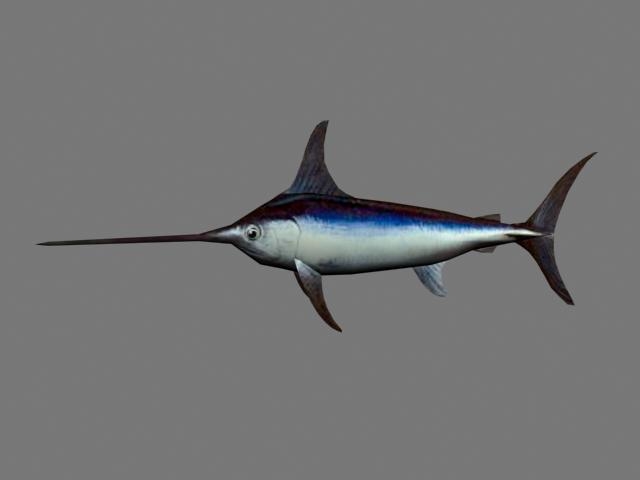 swordfish fish 3d model