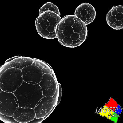 chromist science 3d model