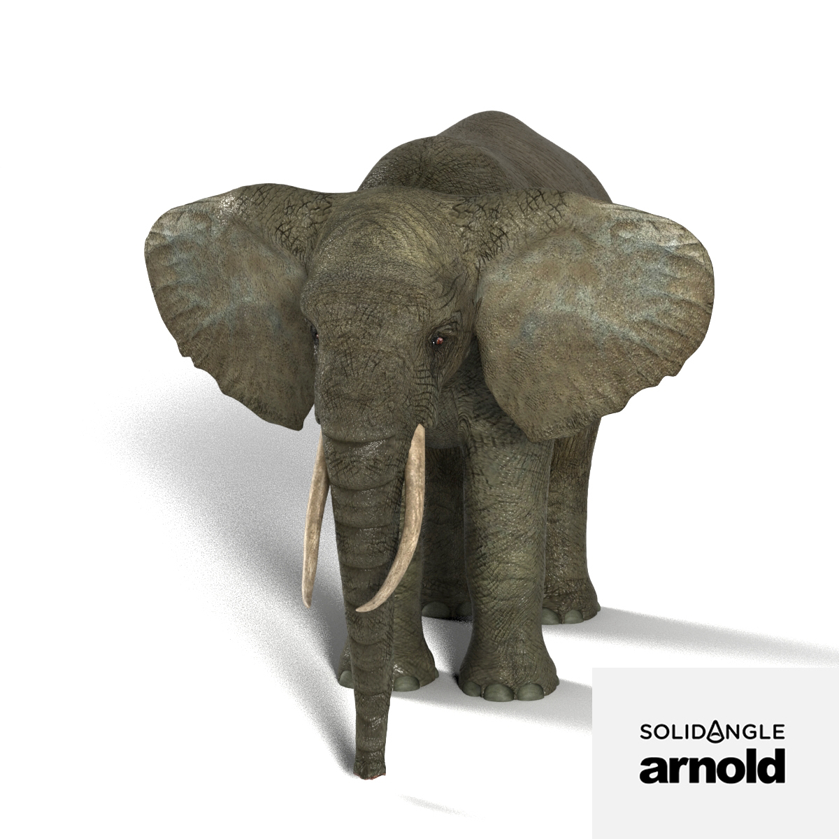 max elephant rigged polys animation