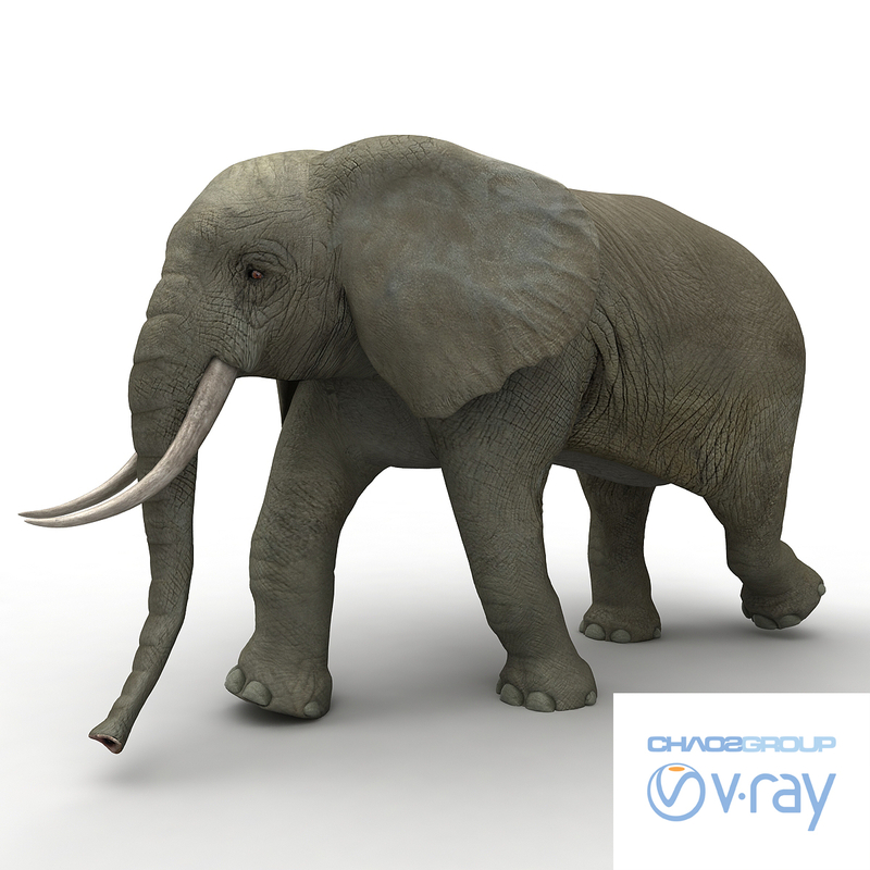 max elephant rigged polys animation