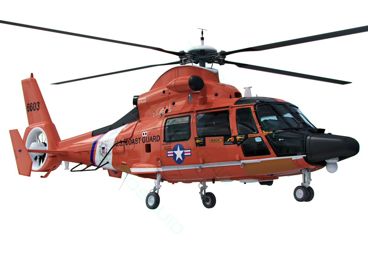 3d uscg mh-65 dolphin helicopter model