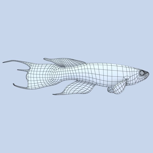 freshwater tropical fish 3d model