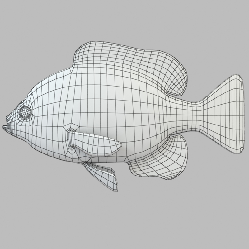 freshwater tropical fish 3d model