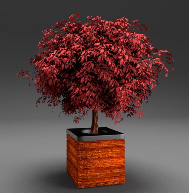 3ds red leaved potted tree