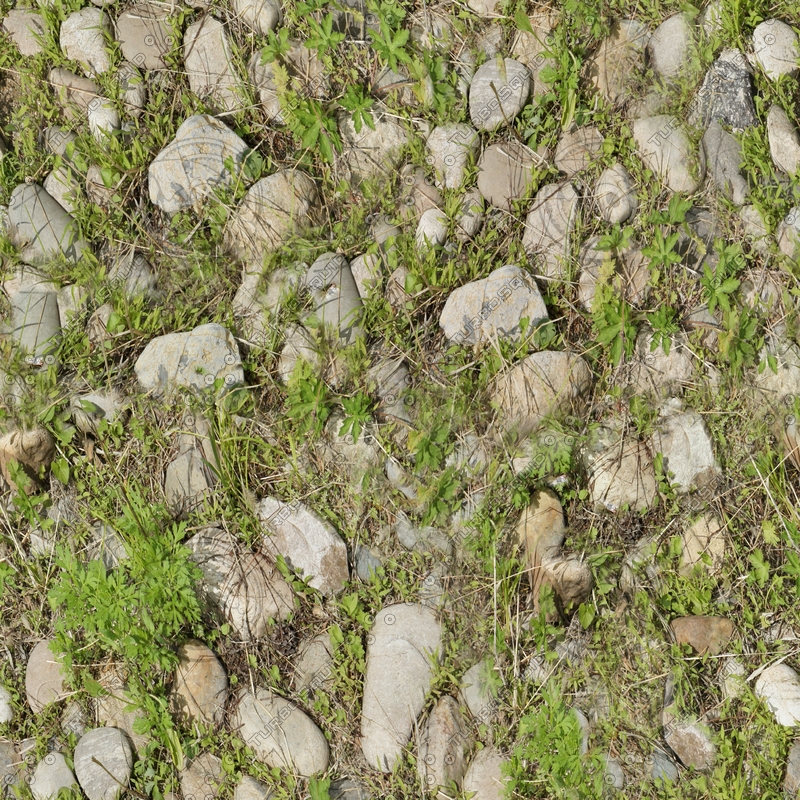 Texture JPEG 4k tileable seamless