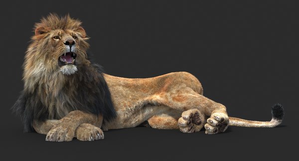 lion 2 fur rigged 3d obj