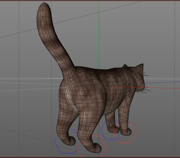 Gato ou gatinho Modelo 3D - TurboSquid 1142019