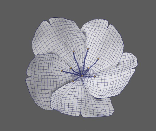 Petal 3D Models for Download | TurboSquid