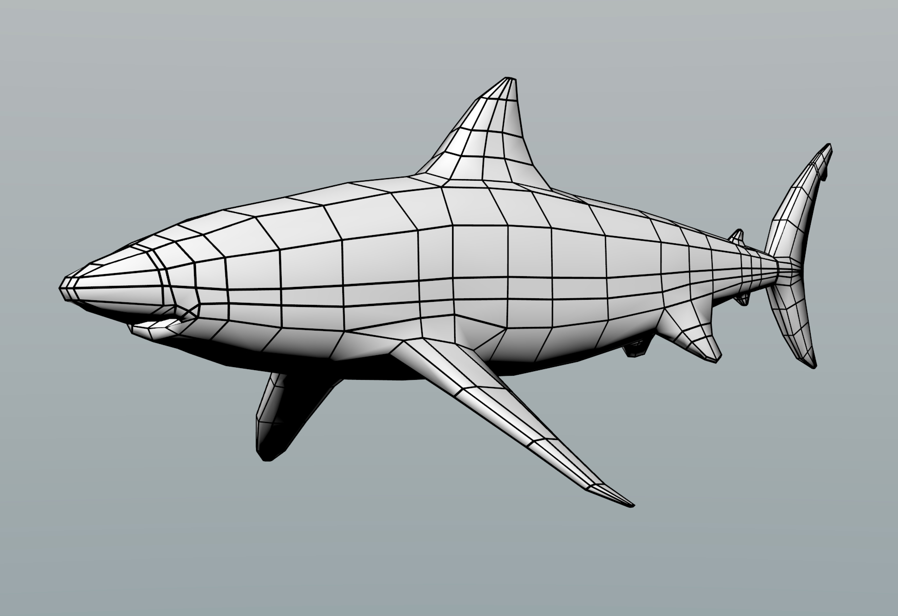 Shark 3D model | 1142096 | TurboSquid
