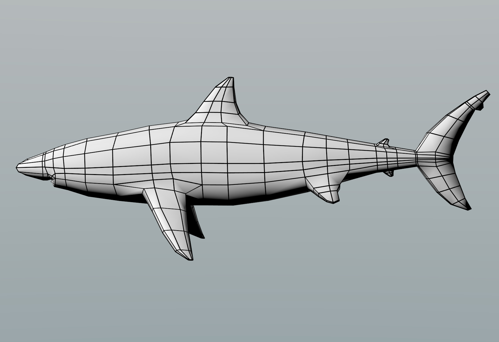 Shark 3D model | 1142096 | TurboSquid