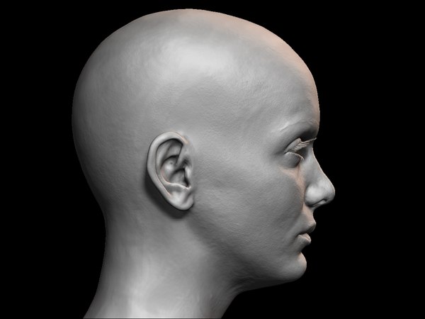 3D face uv model | 1142542 | TurboSquid