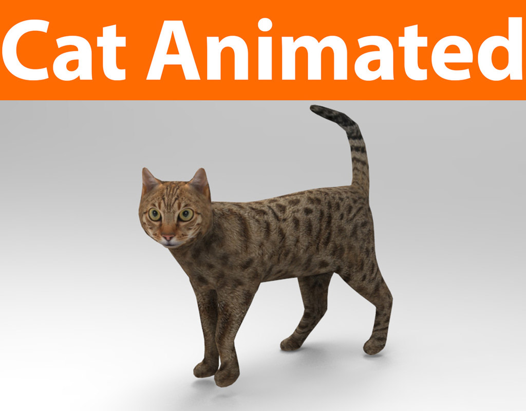 3D cat animations | 1142776 | TurboSquid