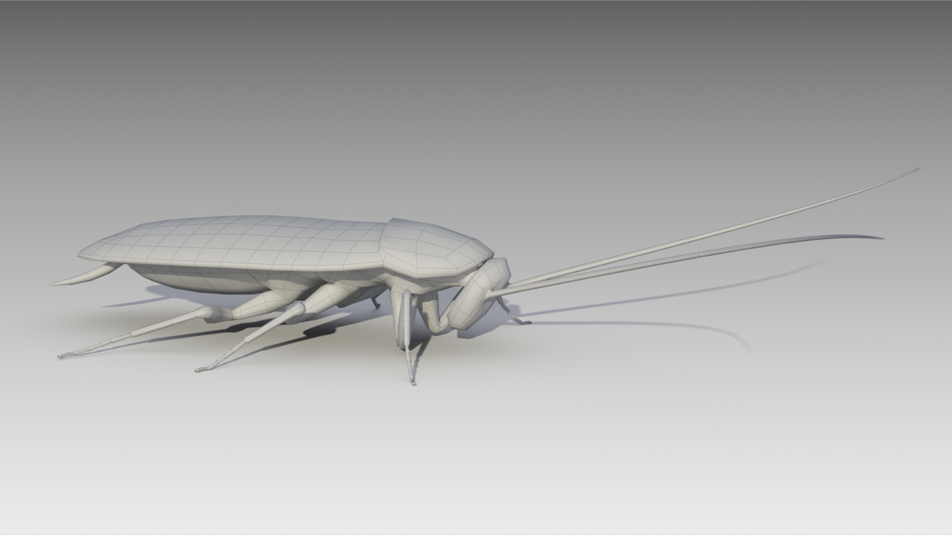 3D cockroach roach | 1142785 | TurboSquid