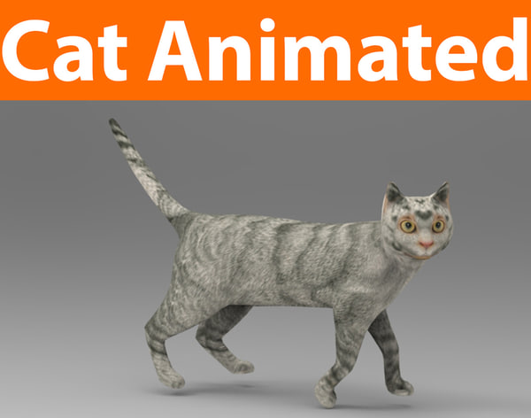 Animated Cat 3D Models for Download | TurboSquid