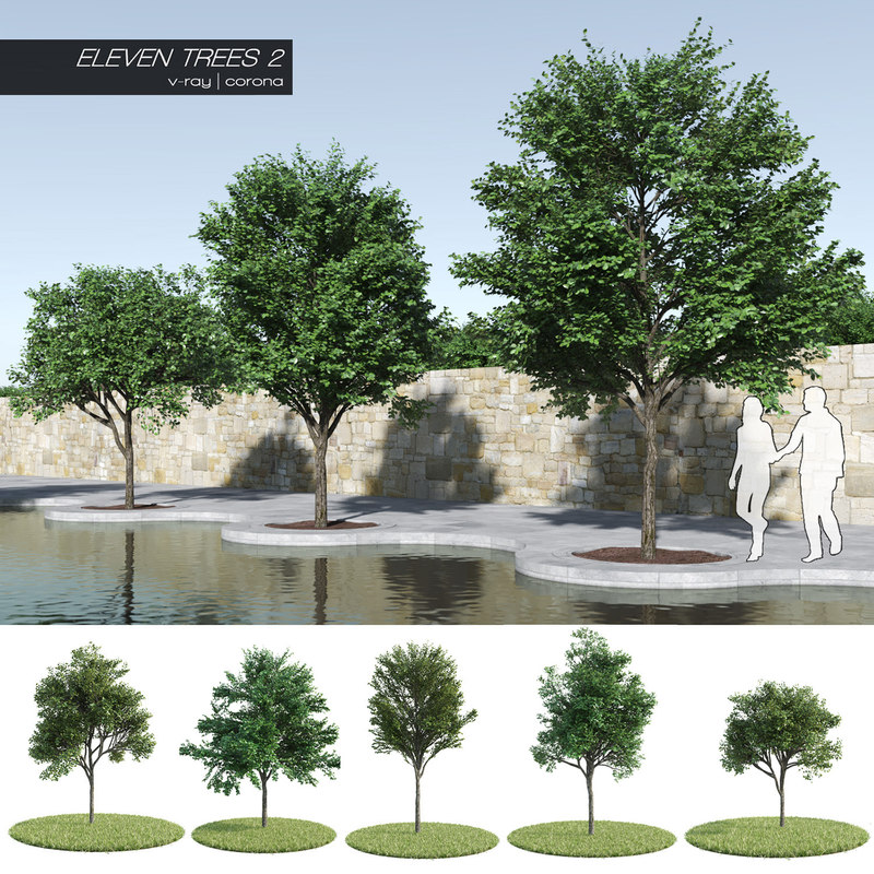 2 3D | 1143149 | TurboSquid