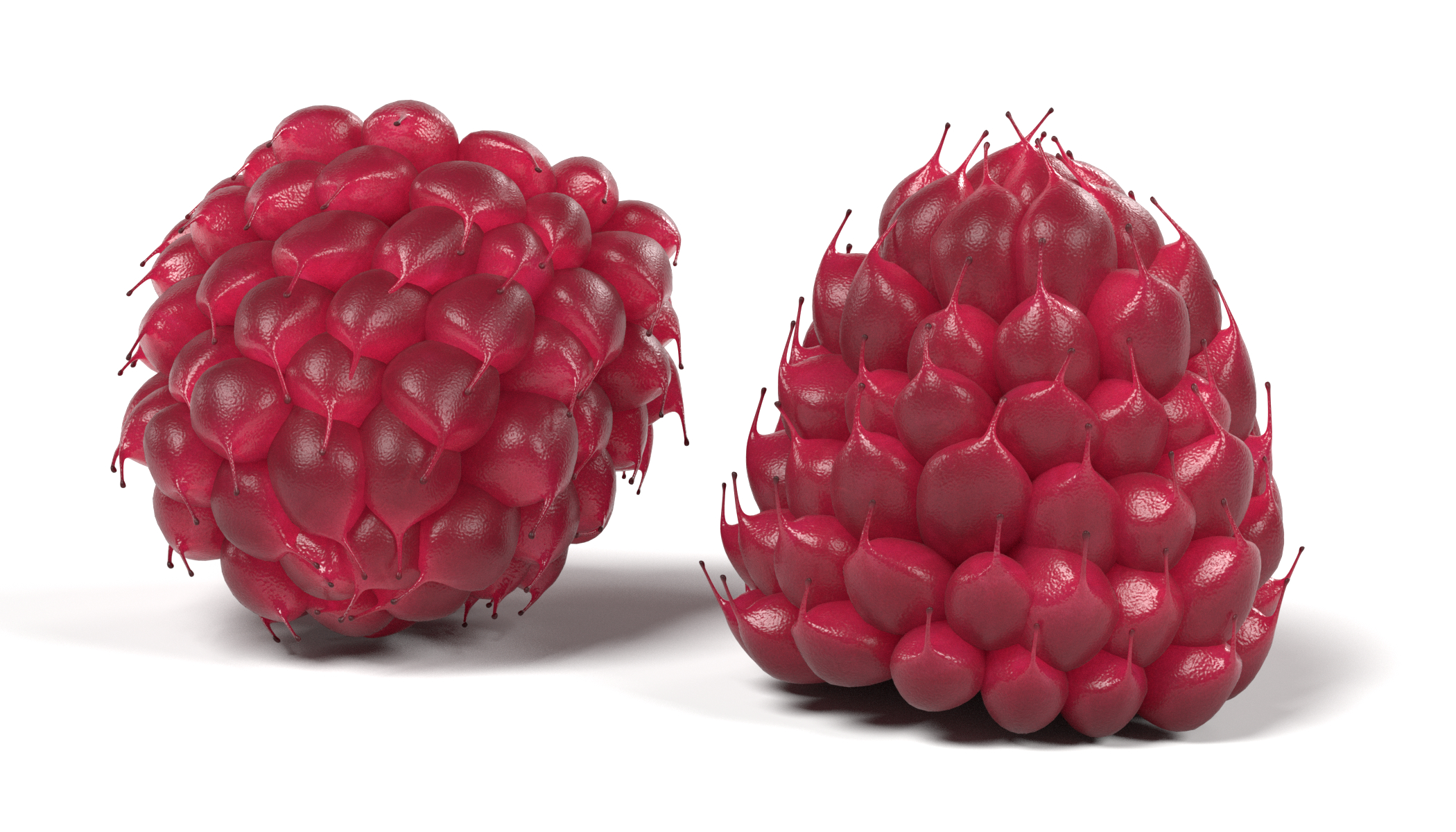Raspberry 3D model | 1144097 | TurboSquid