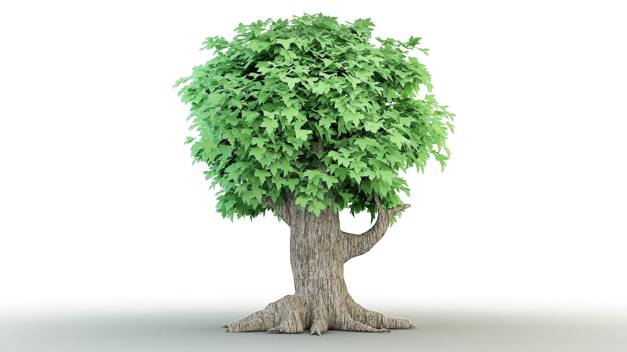 3D cartoon tree | 1144190 | TurboSquid