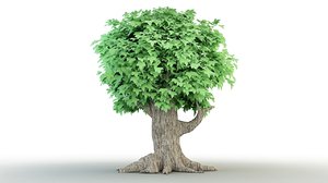 Stylized cartoon trees 3D model - TurboSquid 1410913