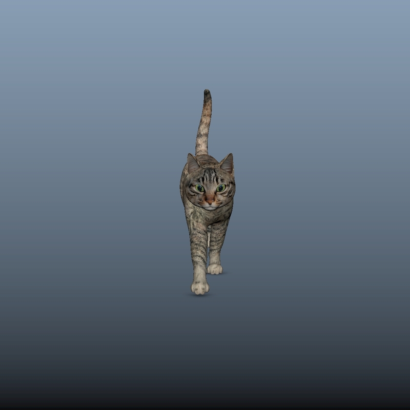 Cat rig - 3D | 1144208 | TurboSquid
