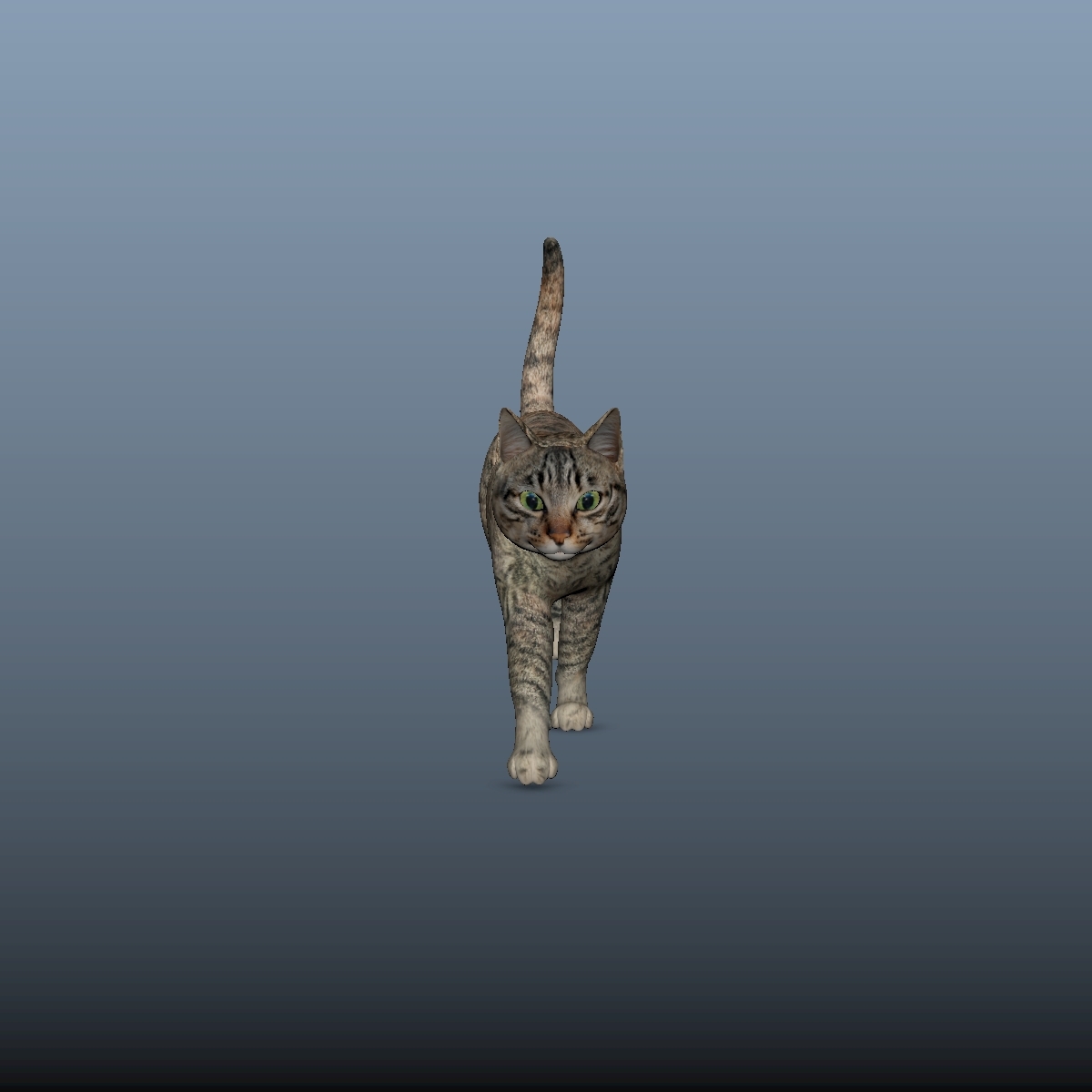 Cat rig - 3D | 1144208 | TurboSquid