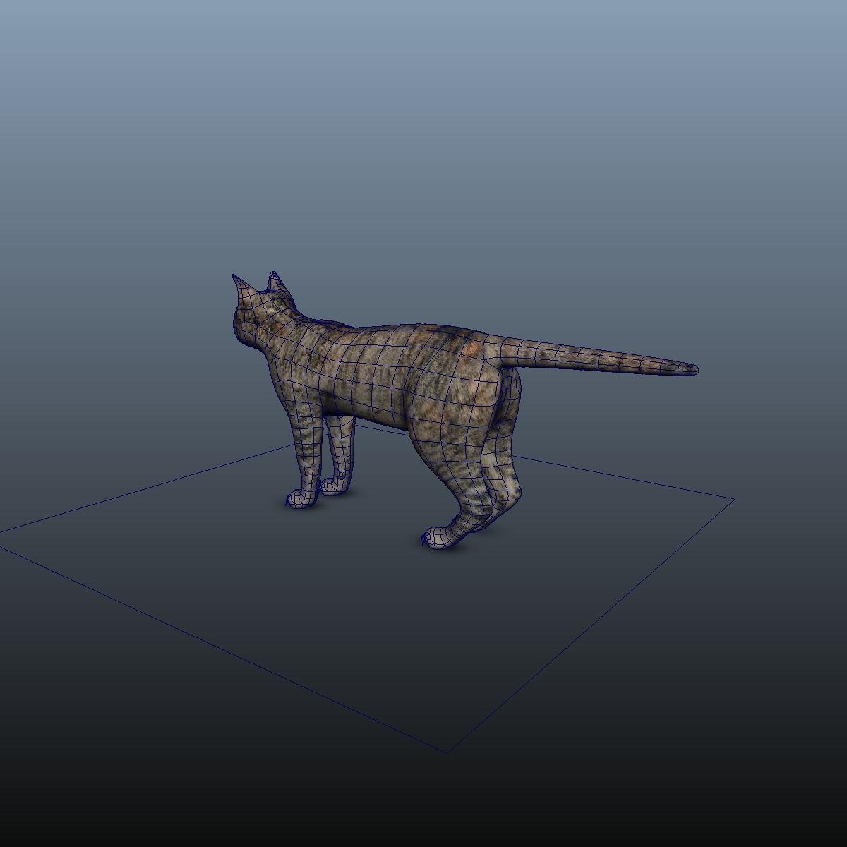 Cat rig - 3D | 1144208 | TurboSquid