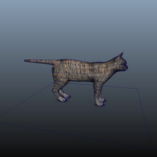 Cat rig - 3D | 1144208 | TurboSquid