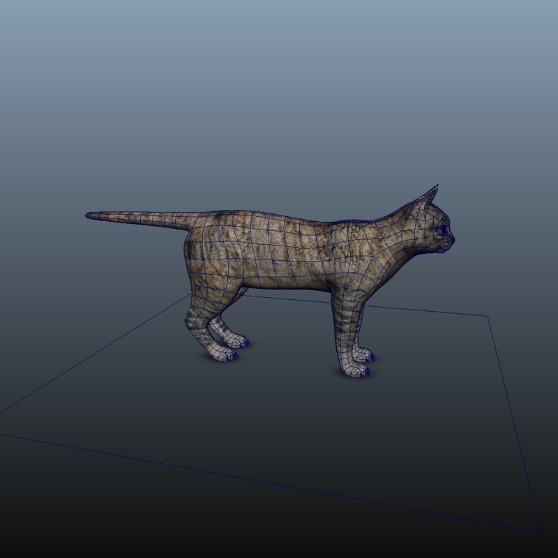 Cat rig - 3D | 1144208 | TurboSquid
