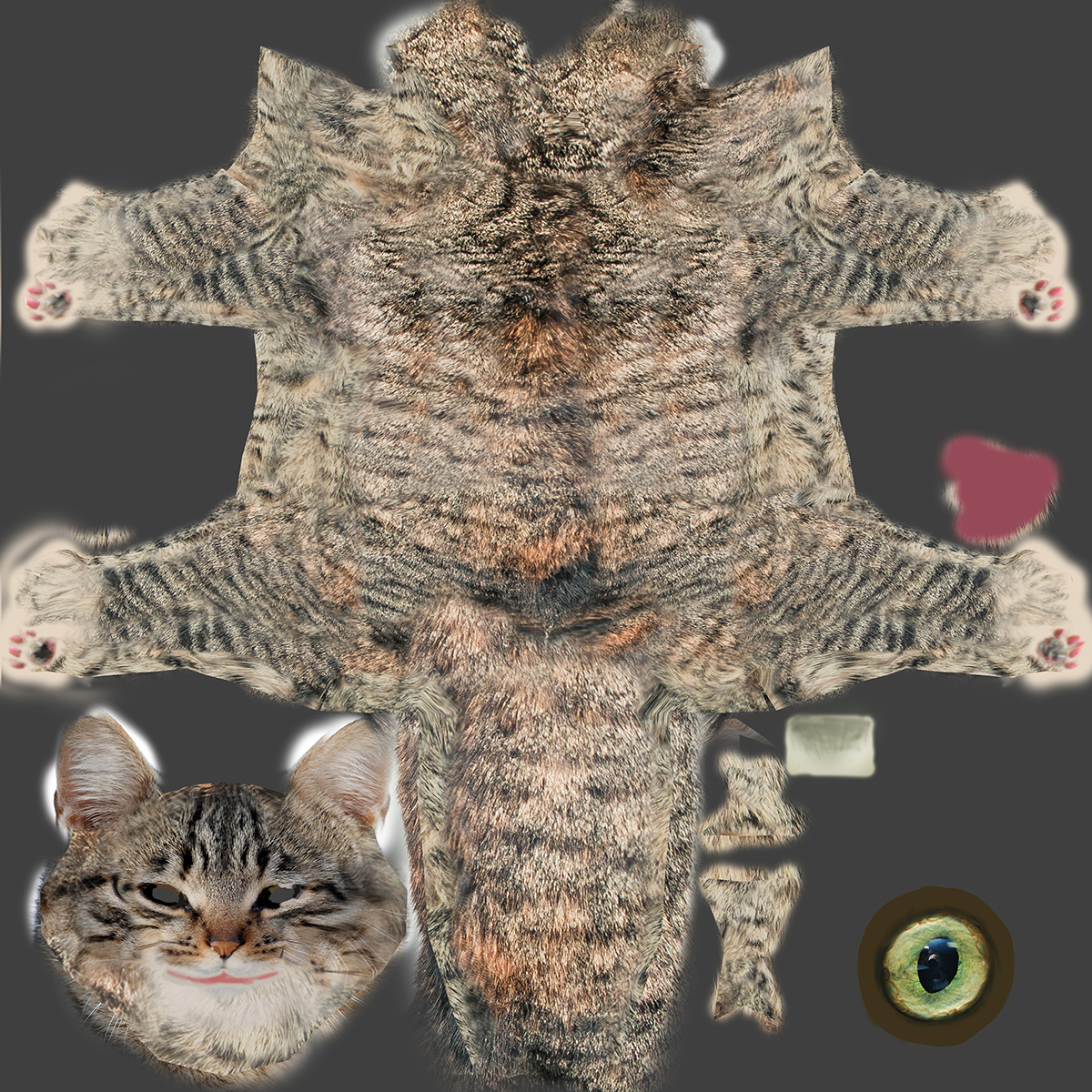 Cat rig - 3D | 1144208 | TurboSquid