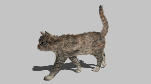 Cat rig - 3D | 1144208 | TurboSquid