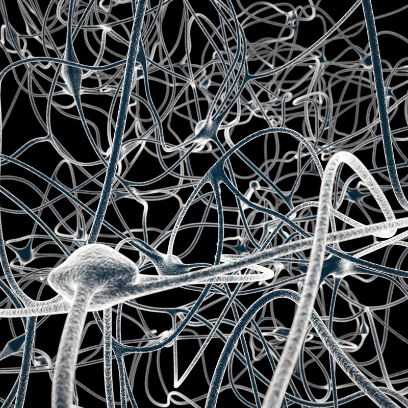 3D nerves neurons animation | 1144383 | TurboSquid