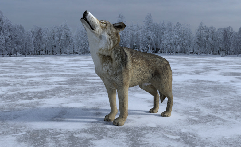Gray wolf 3D | 1144503 | TurboSquid