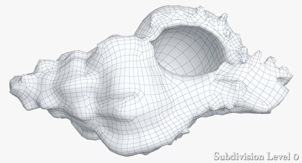 Sea shell 3D | 1144781 | TurboSquid