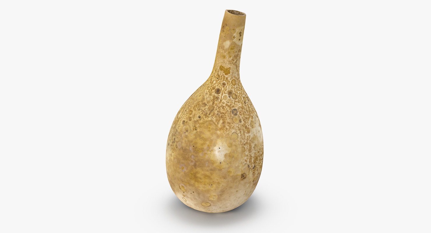 Gourd water container calabash 3D model | 1144911 | TurboSquid