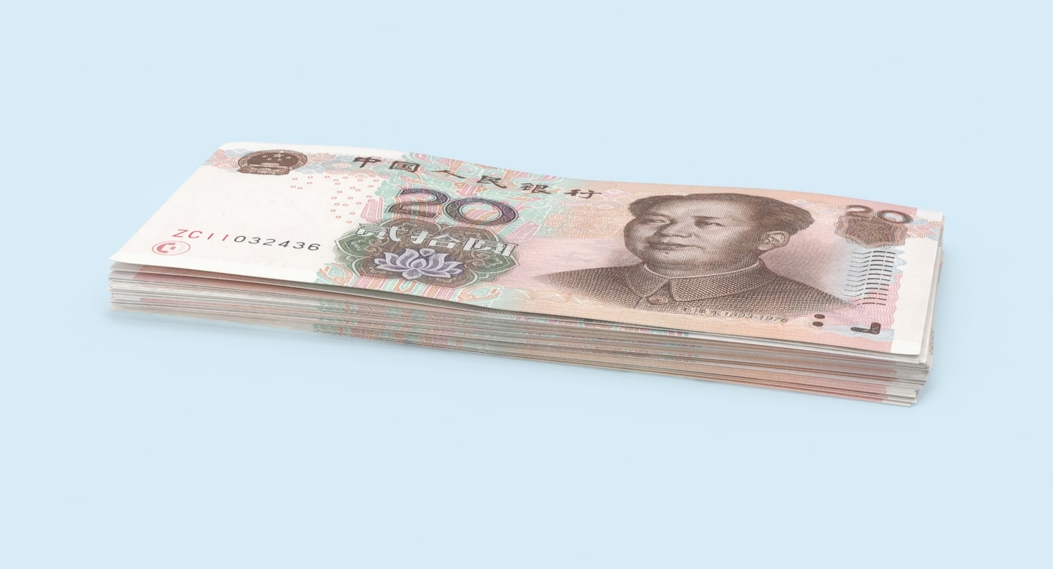 3D 20-yuan-note---pack | 1144948 | TurboSquid