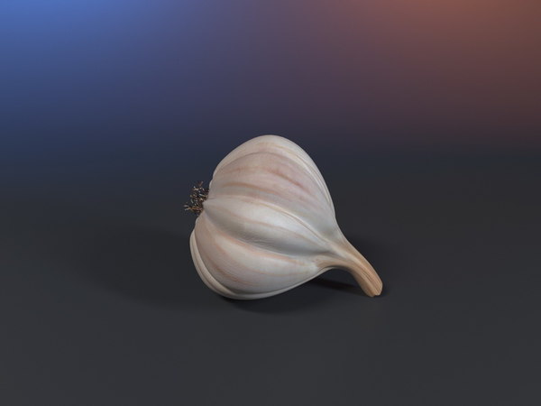 3D garlic render model | 1145661 | TurboSquid