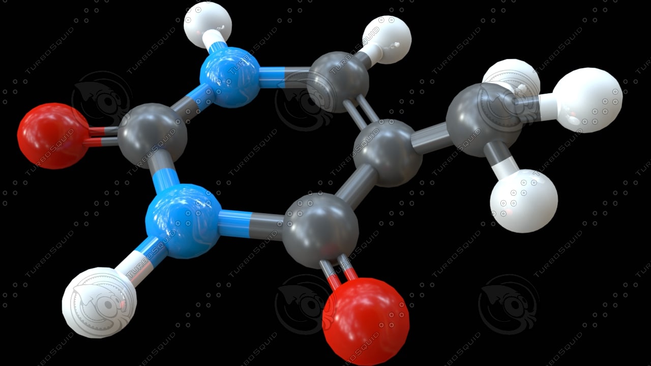 Thymine nucleobase dna model | 1146869 | TurboSquid