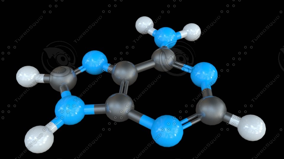3D adenine nucleobase dna model | 1146898 | TurboSquid