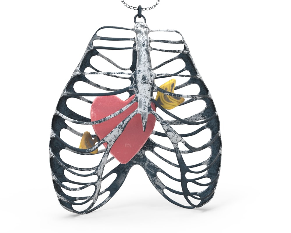 Rib cage necklace heart 3D | 1147489 | TurboSquid