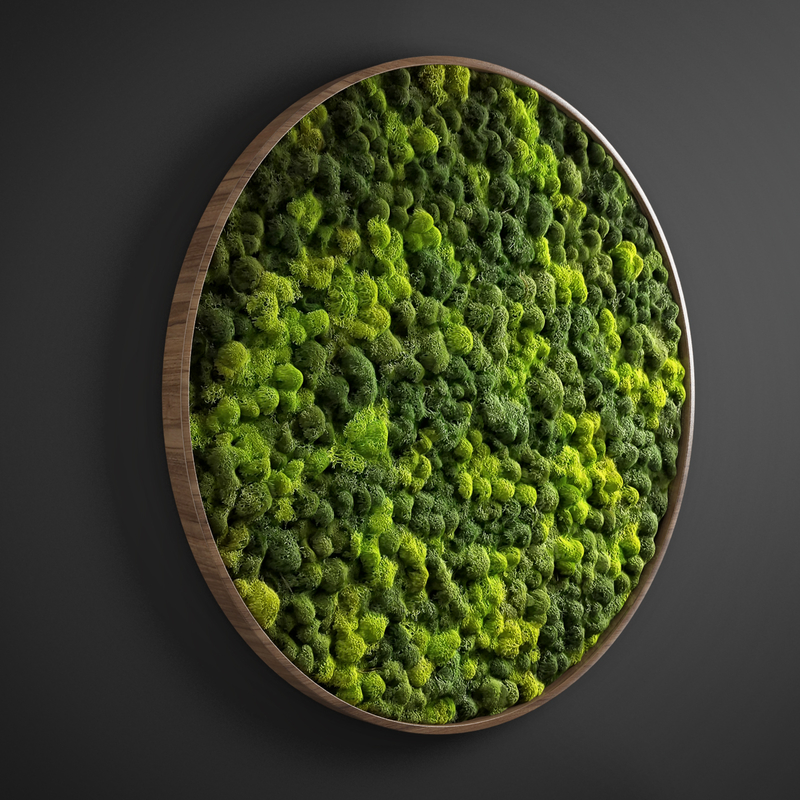 Panel moss circle 3D model | 1147512 | TurboSquid